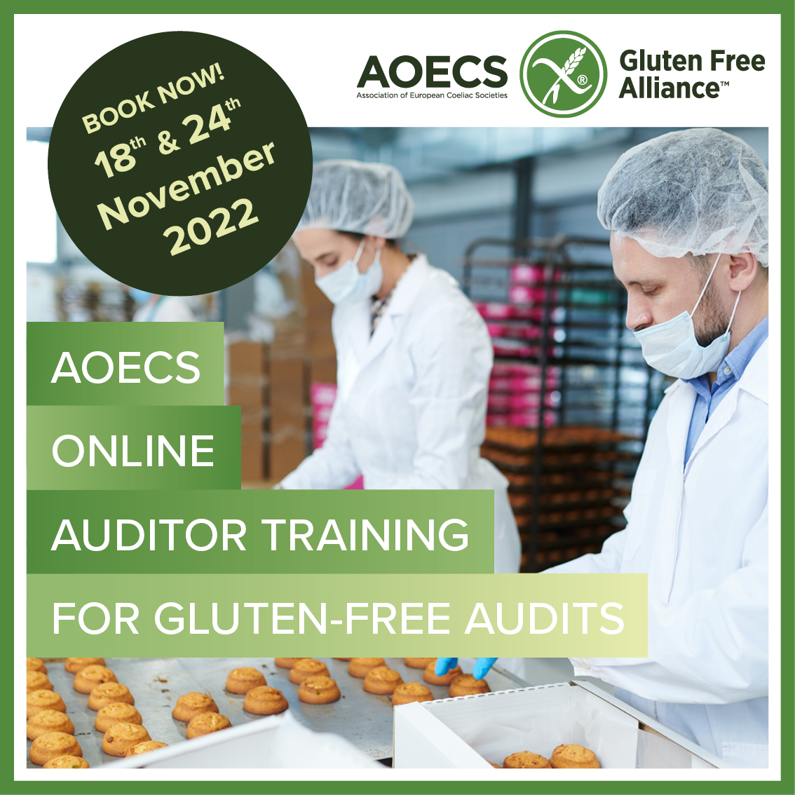 AOECS Auditor Training | AOECS